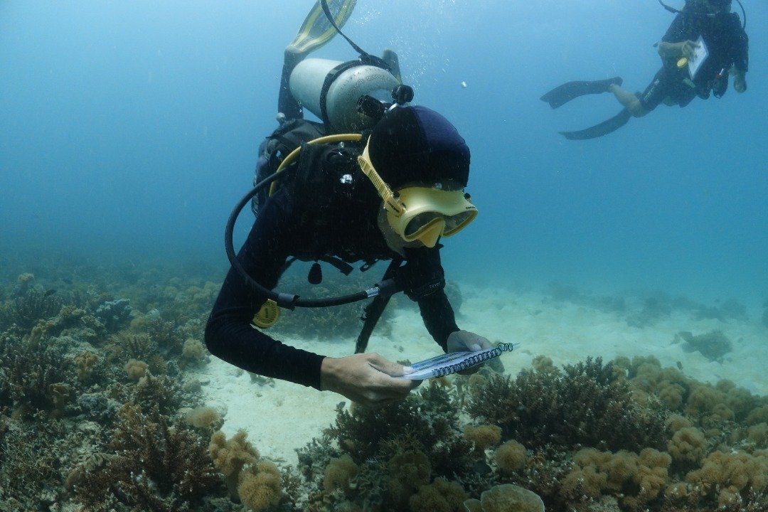 Reef Check Malaysia releases 2021 Annual Survey Report; launches ocean ...