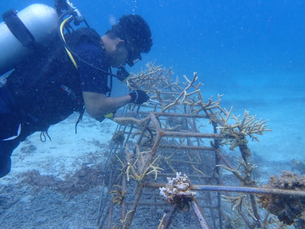 Rehabilitating Coral Reefs with The Local Community on Redang Island ...