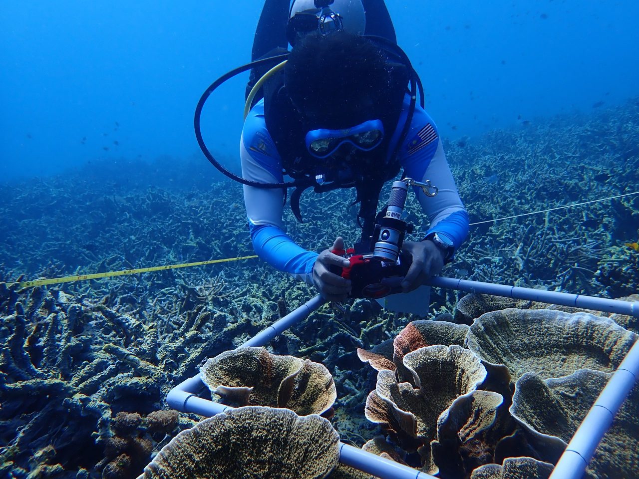 About Us - Reef Check Malaysia