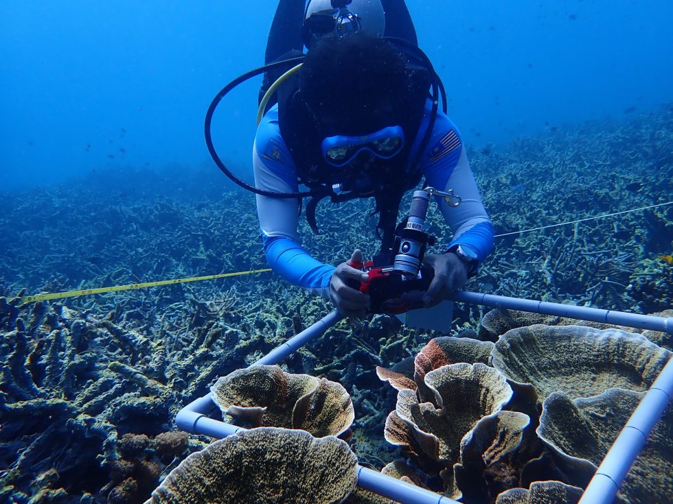 About Us - Reef Check Malaysia