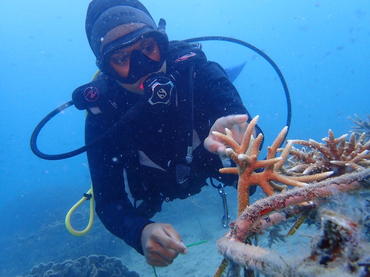 Home - Reef Check Malaysia