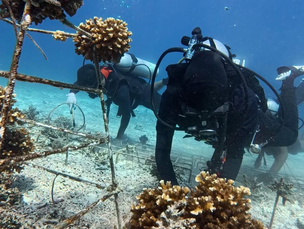 About Us - Reef Check Malaysia
