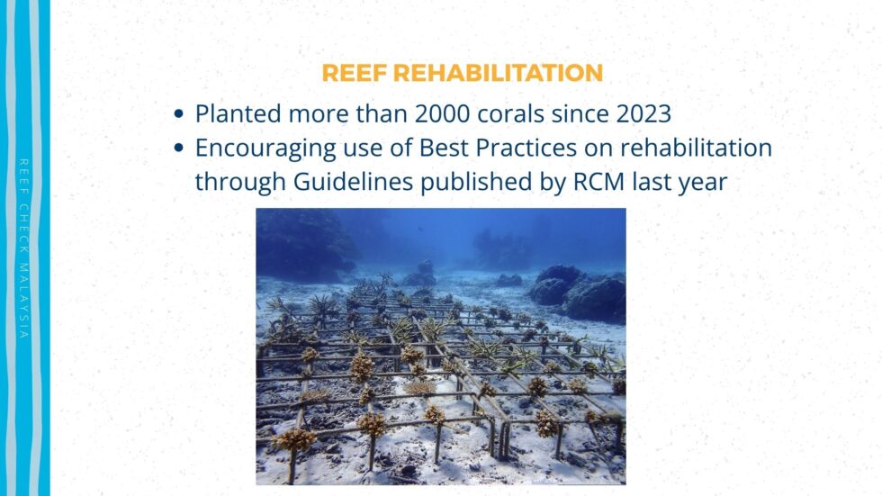 Reef Check Malaysia's Annual Event 2025 - Reef Check Malaysia